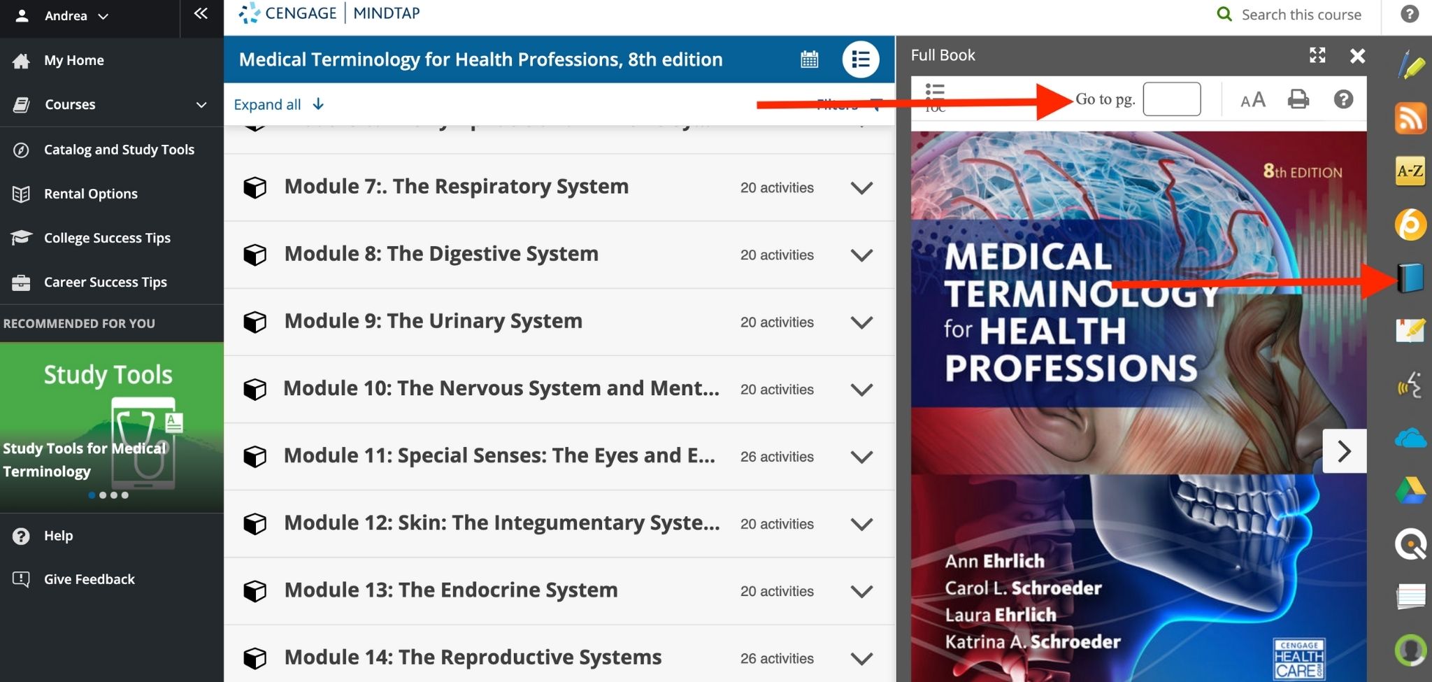 Cengage Study Tools and Tips, FAQs